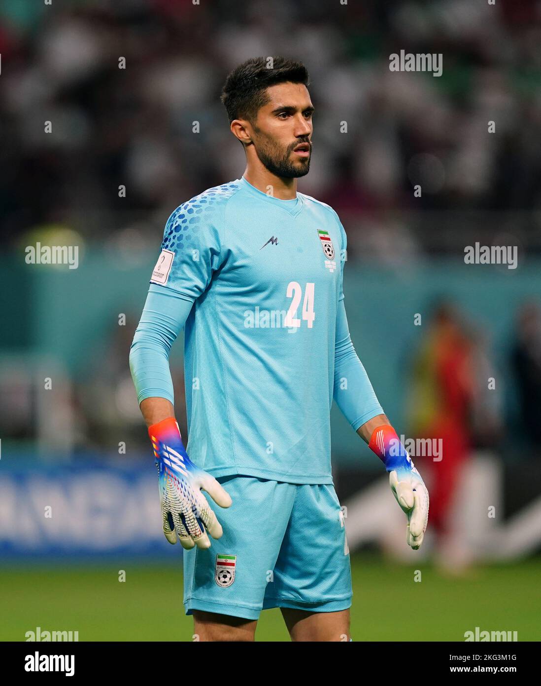 Iran goalkeeper Hossein Hosseini during the FIFA World Cup Group B ...