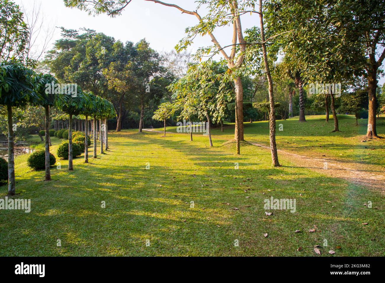 Green Field with trees in the park landscape view Stock Photo - Alamy