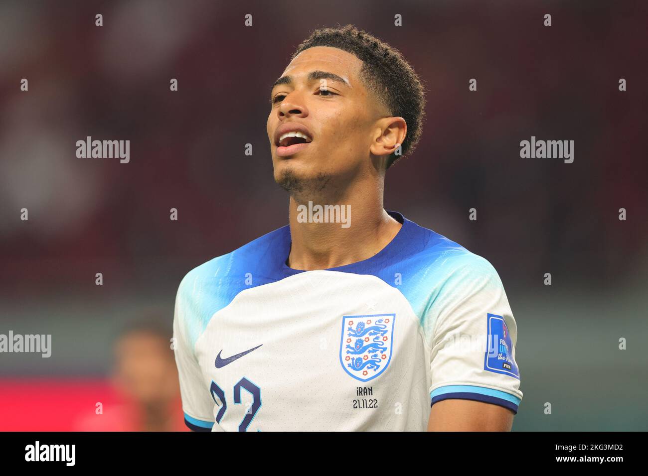 Jude bellingham 2022 fifa world cup hi-res stock photography and images ...