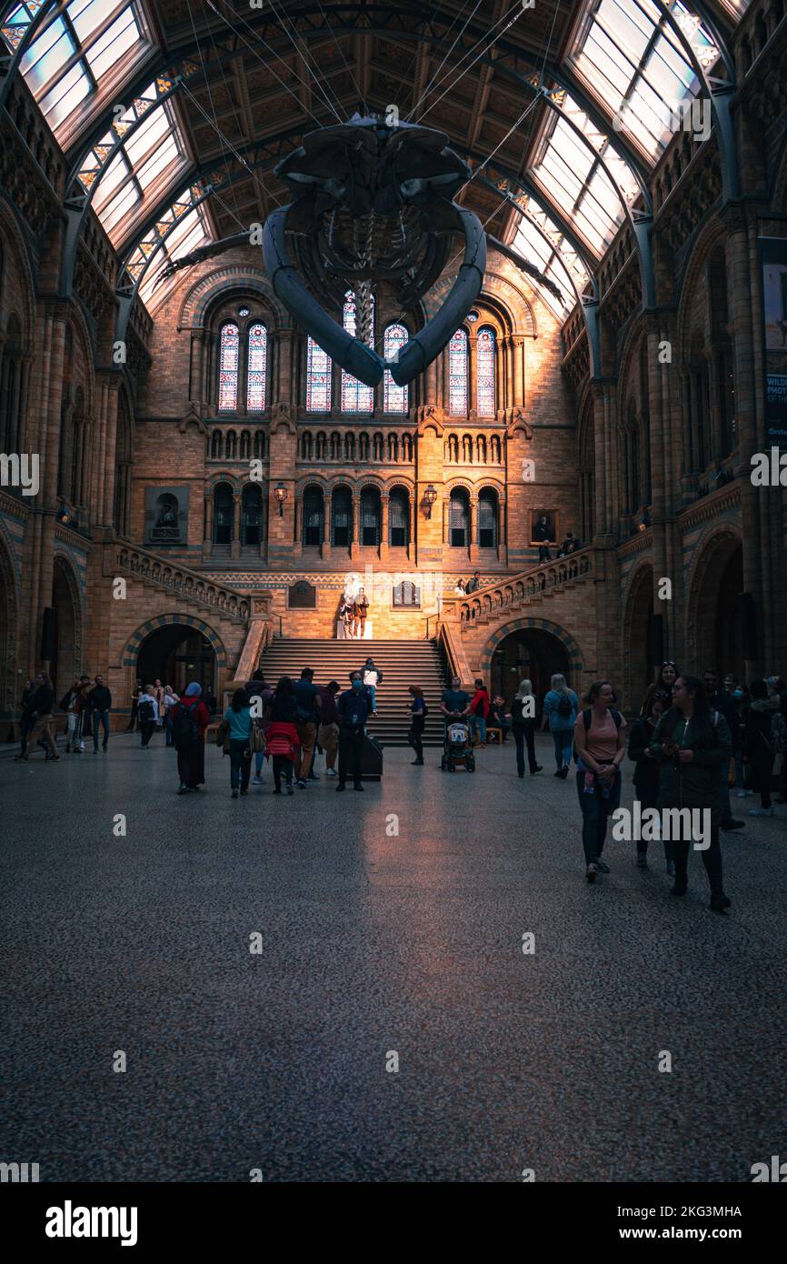 A beautiful interior shot of London National Museum with a view of the ...