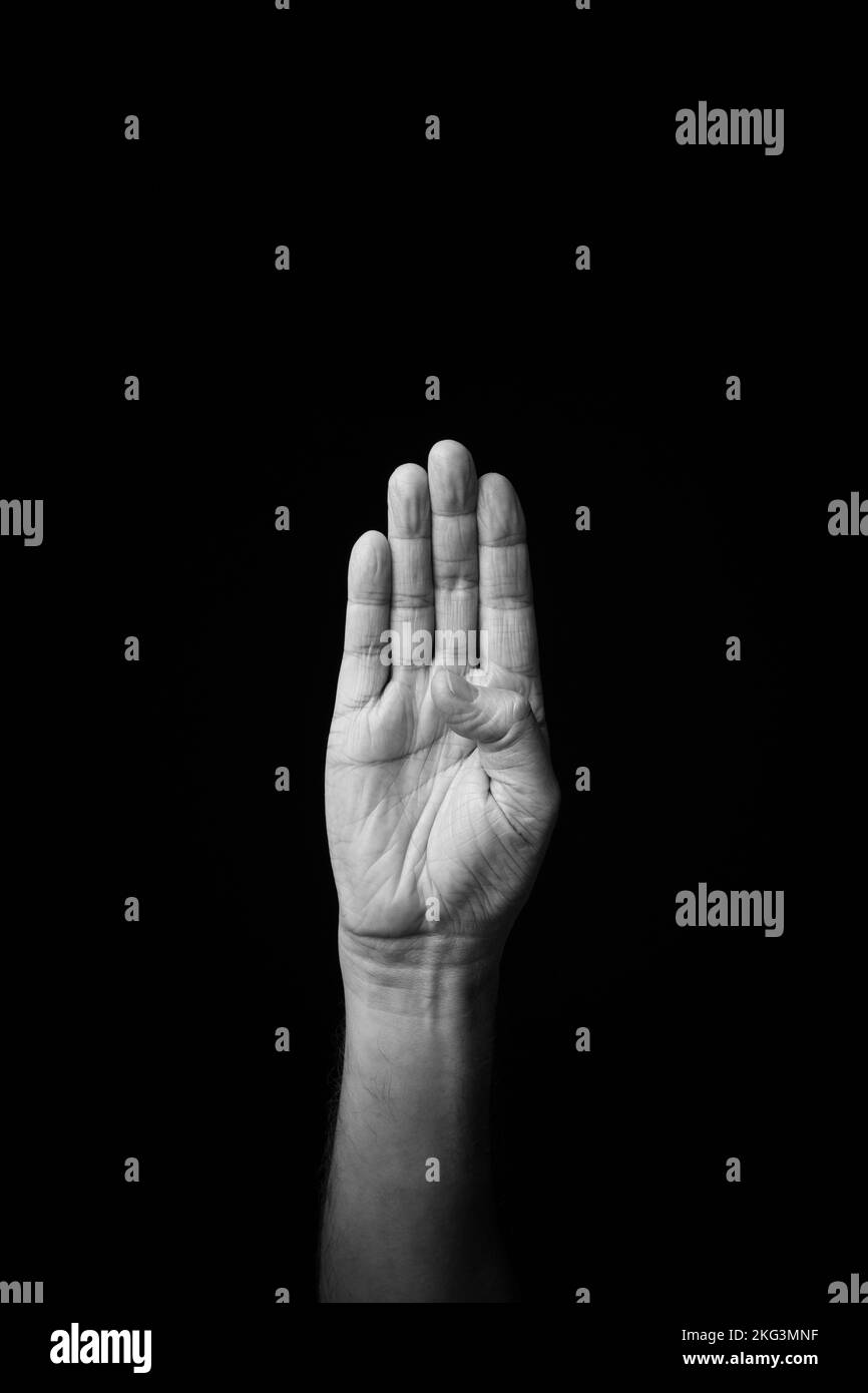 Helen Keller Sign Language Palm