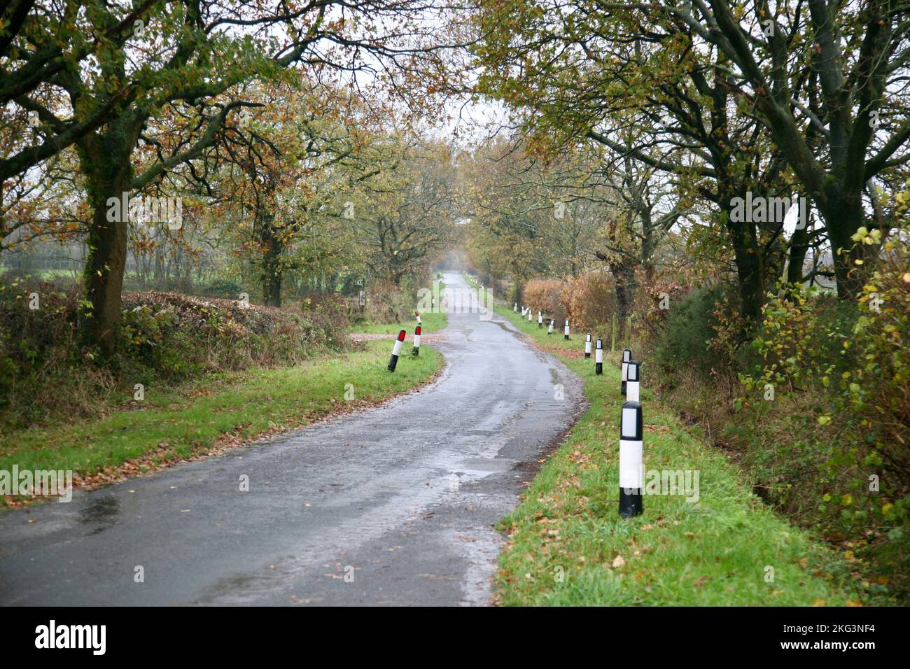 A cold wet day in the British countryside Stock Photo - Alamy