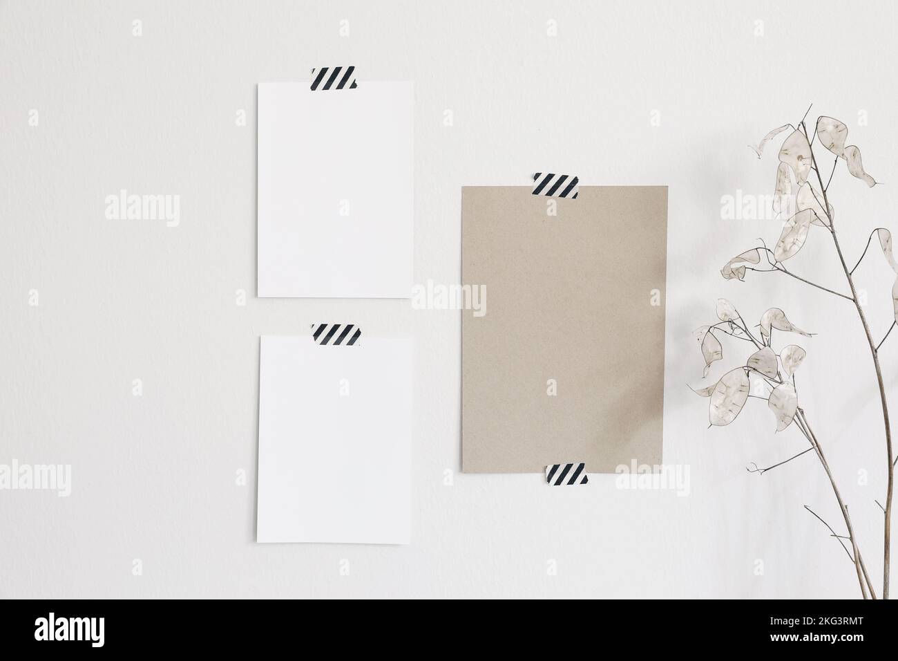 Neutral mood board. Set of blank paper greeting card mockups taped on ...