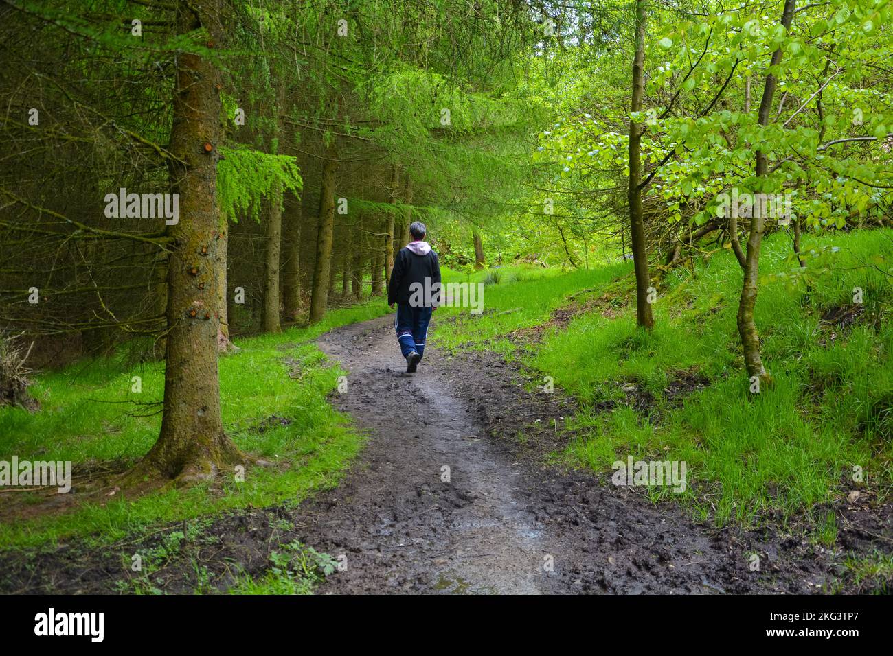 Calf Hey Reservoir Lancashire United Kingdom05.30.2015. Woman walking ...