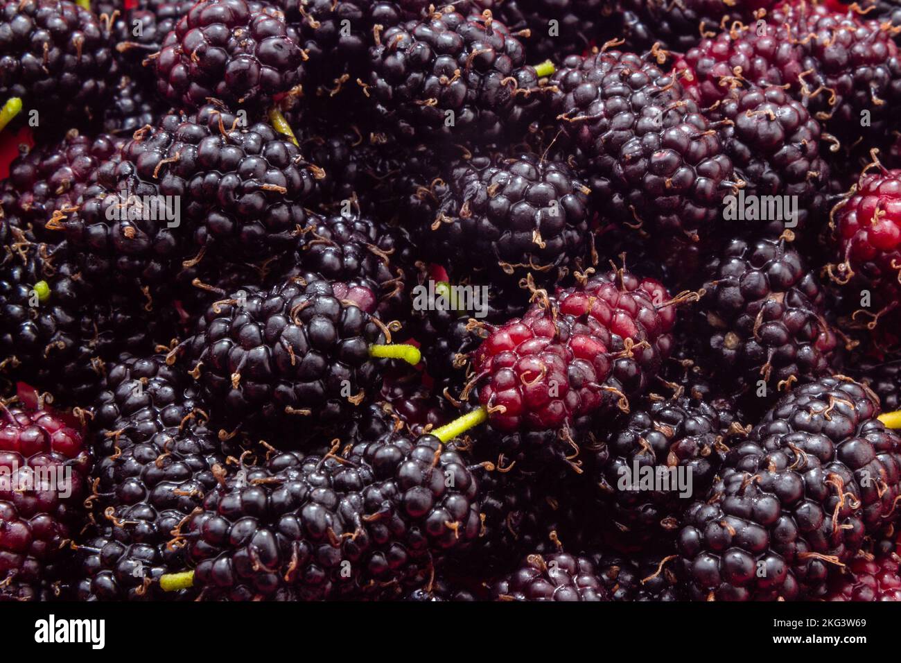 Goiânia, Goias, Brazil – November 21, 2022: Freshly picked and ready-to ...