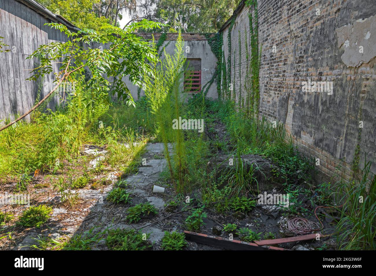 Abandoned building in North Central Florida, with the interior ...