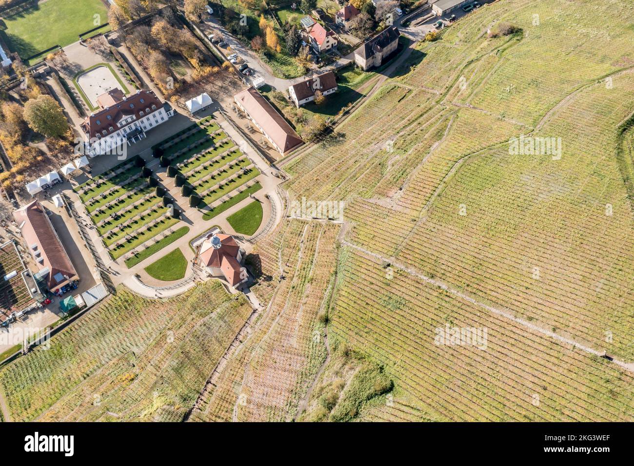 Aerial view over vineyard and castle Wackerbarth with Belvedere ...