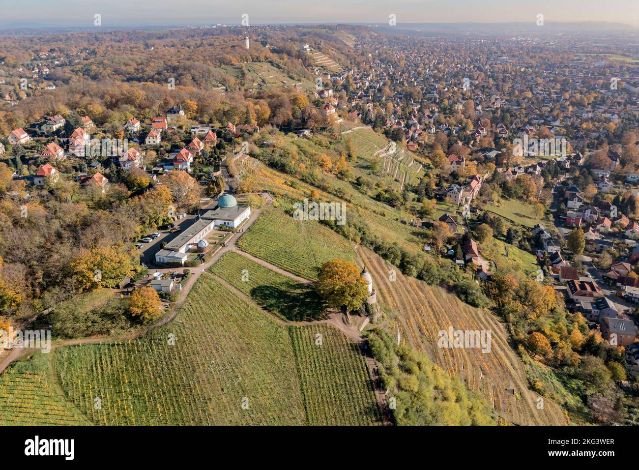 Aerial view over vineyard at castle Wackerbarth, with tower Jacobstein ...