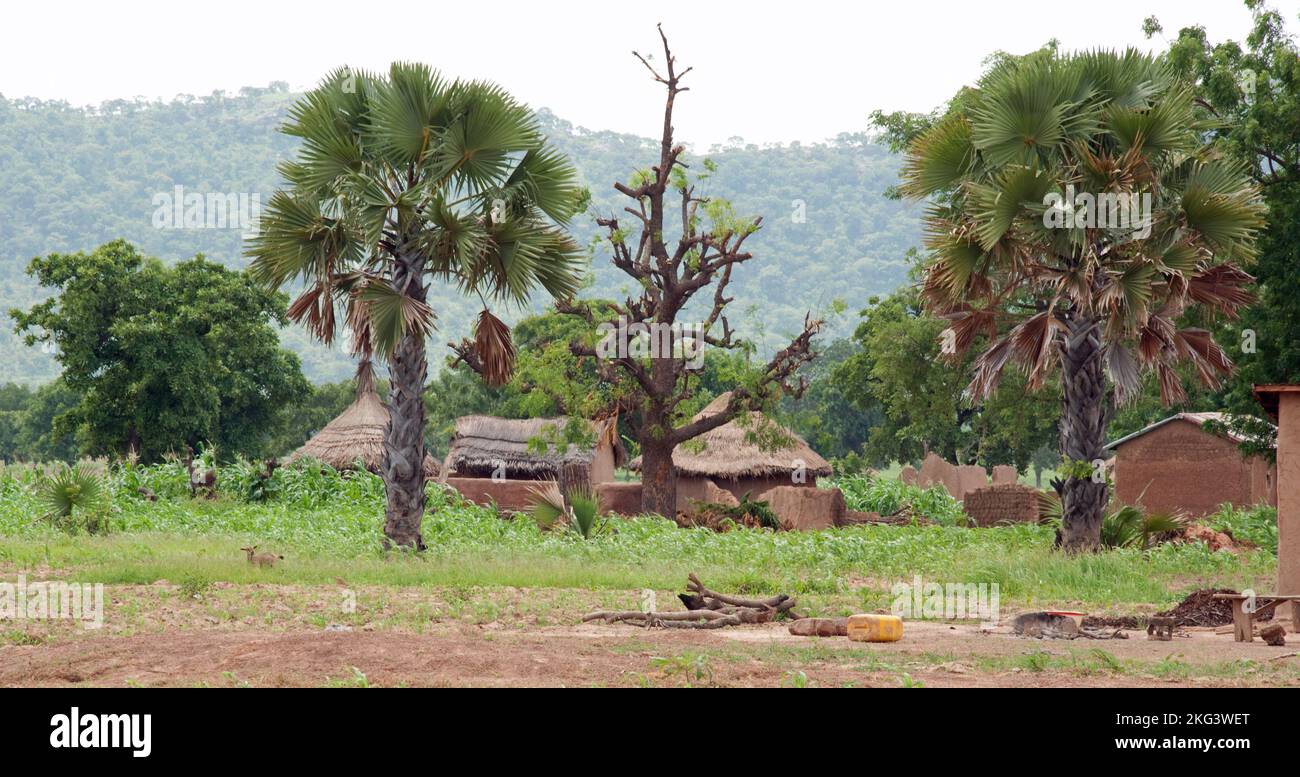 Kounturi (Coubly), Atacora, Benin - homesteads and vegetation in rural ...