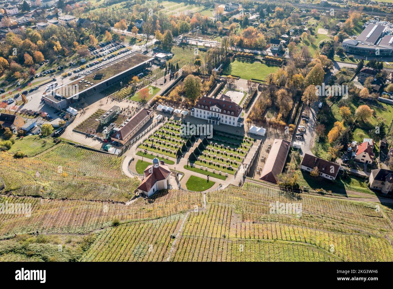Aerial view over vineyard and castle Wackerbarth with Belvedere ...
