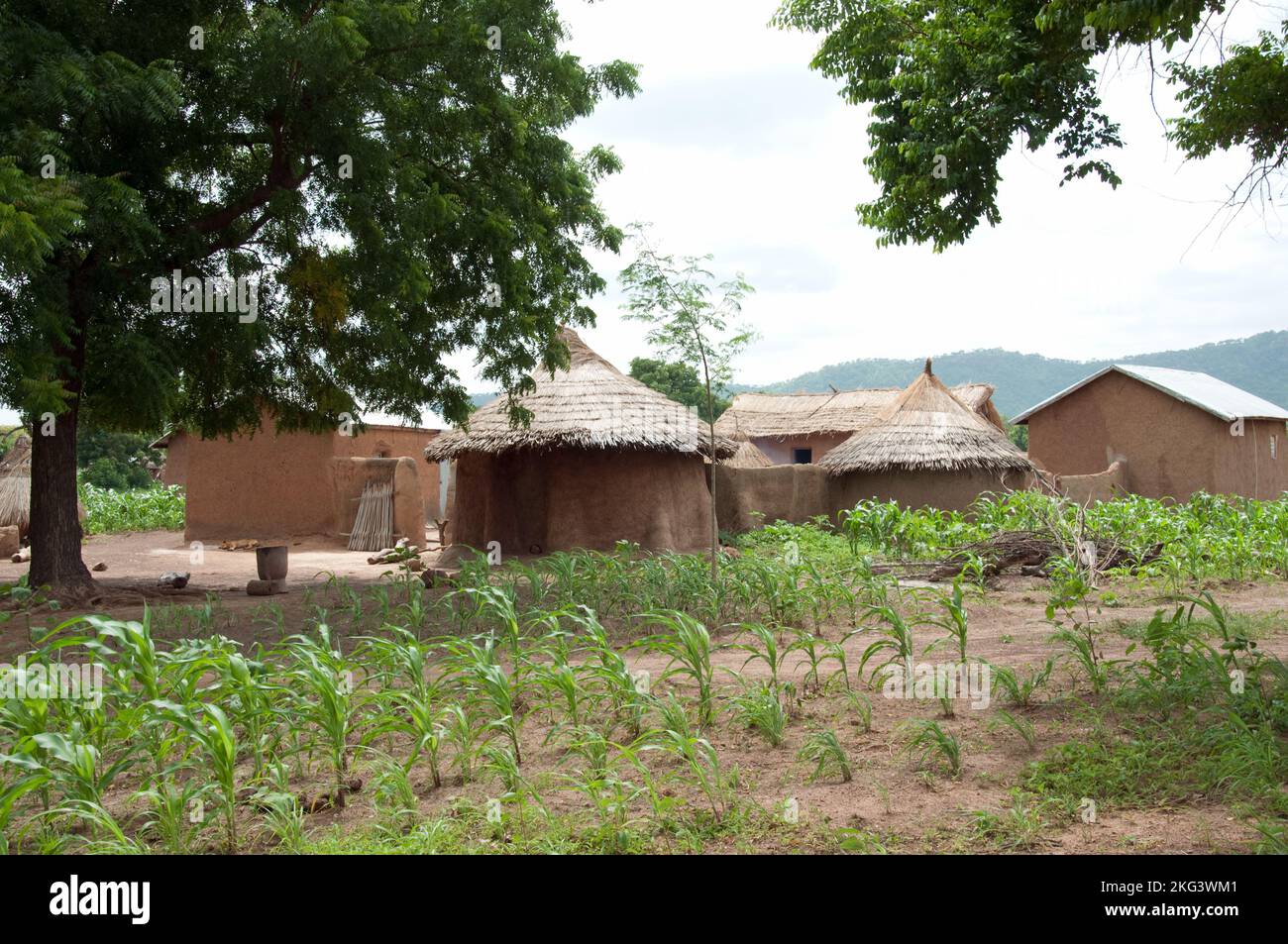 Tata Somba. Rural Atacora, Atacora Province, Benin, Tata somba are ...