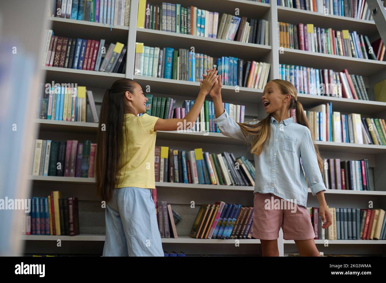 Girls standing near the high book shelves in the school library Stock ...
