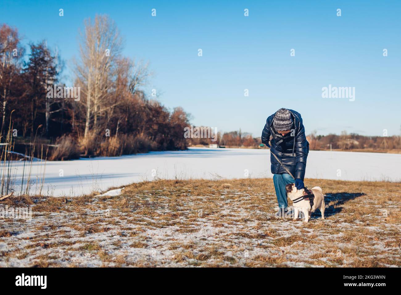 Woman walking pug dog in snowy winter park by frozen lake holding leash ...