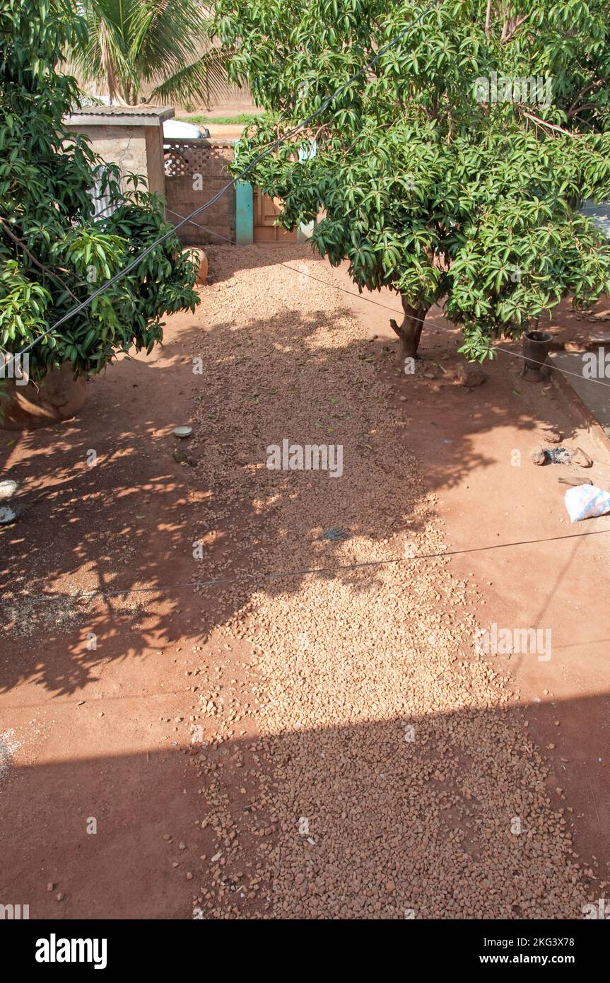 Courtyard with tress and open area for family activities, Atacora ...