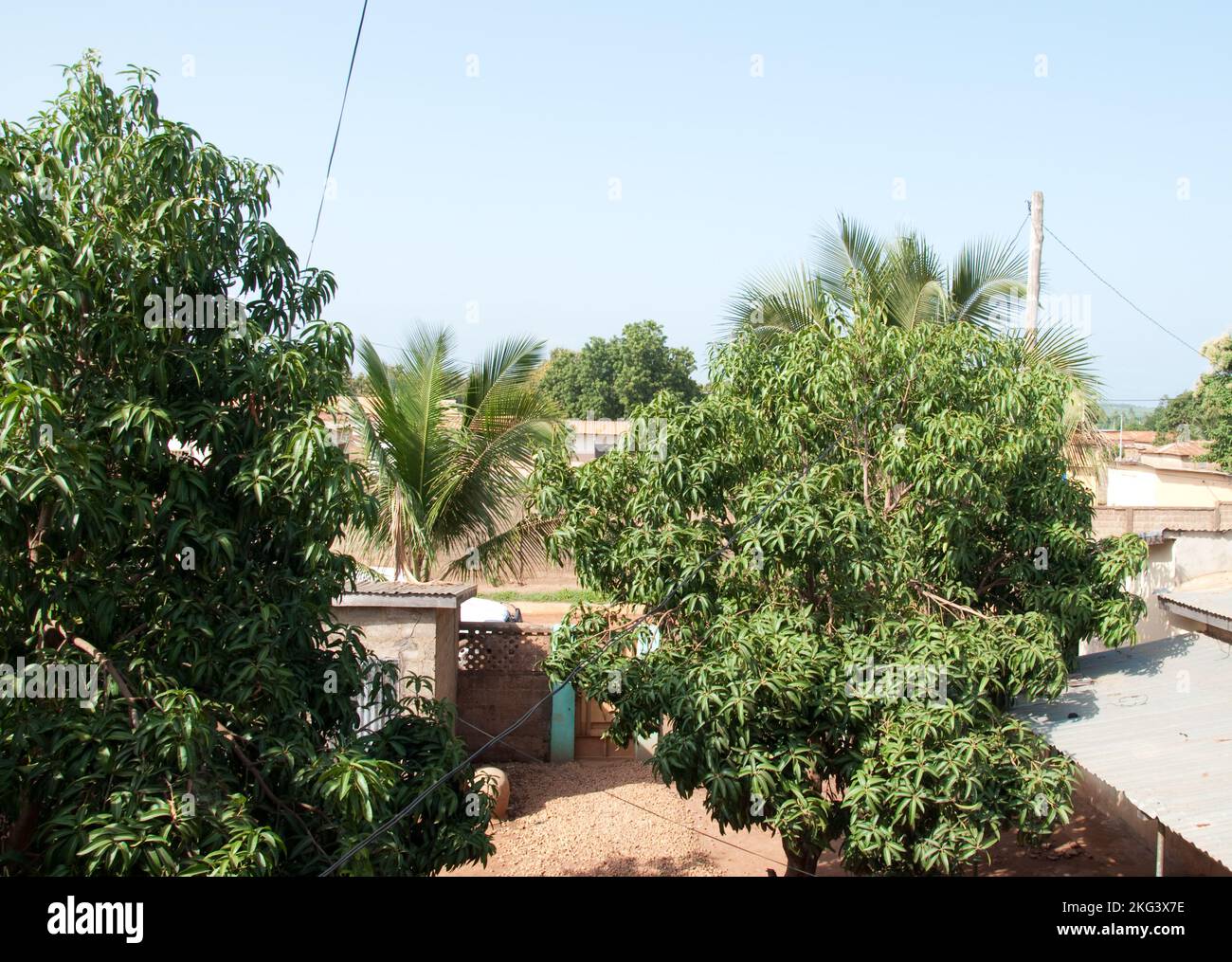 Pehunco hi-res stock photography and images - Alamy