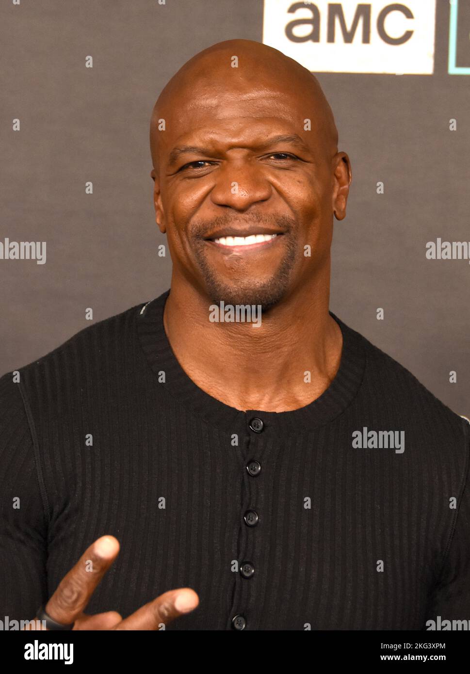 Los Angeles, California, USA 20th November 2022 Actor Terry Crews ...
