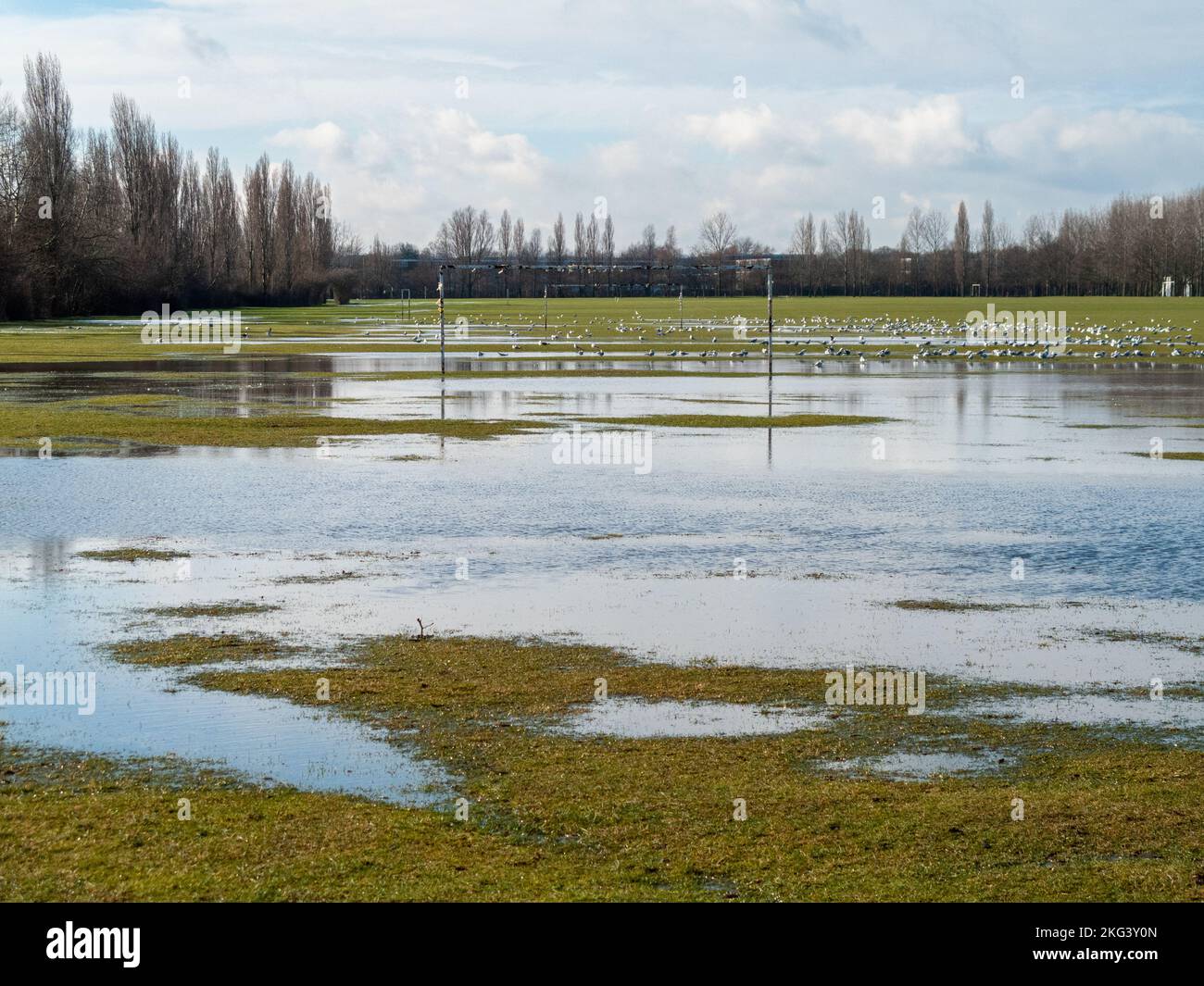 Waterlogged football pitch hi-res stock photography and images - Alamy