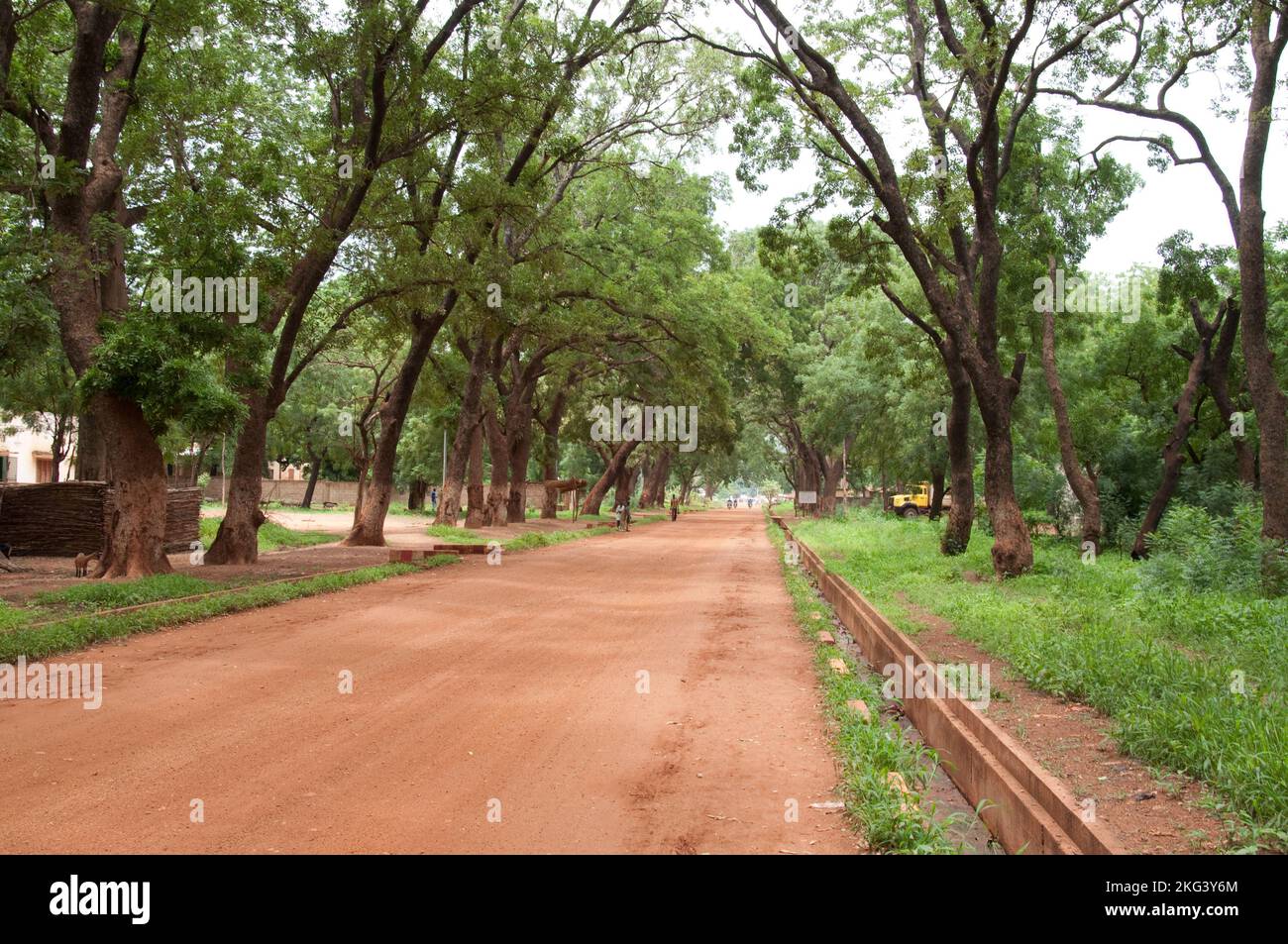 Tree-lined road leading into Tangueta, Atacora, Benin Stock Photo - Alamy