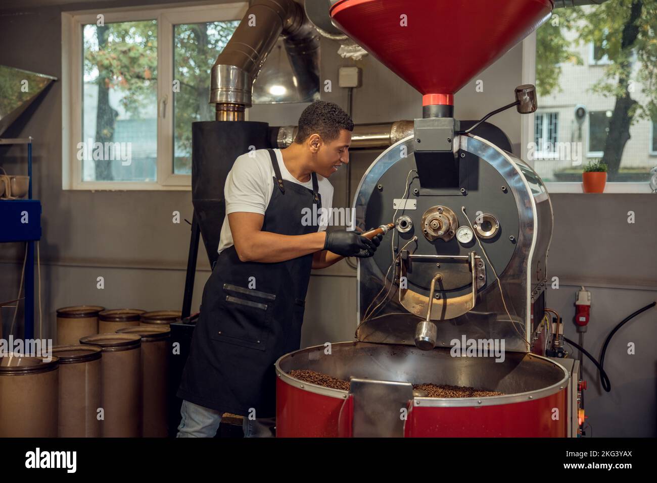 Professional African American roaster sampling the beans Stock Photo ...