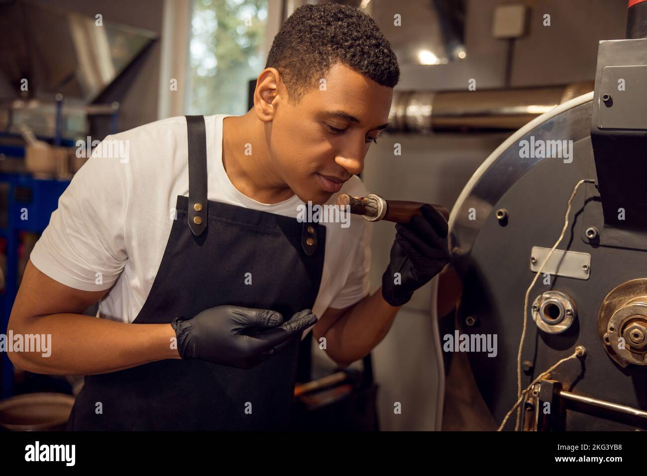 Experienced roast master determining the coffee roast level Stock Photo ...