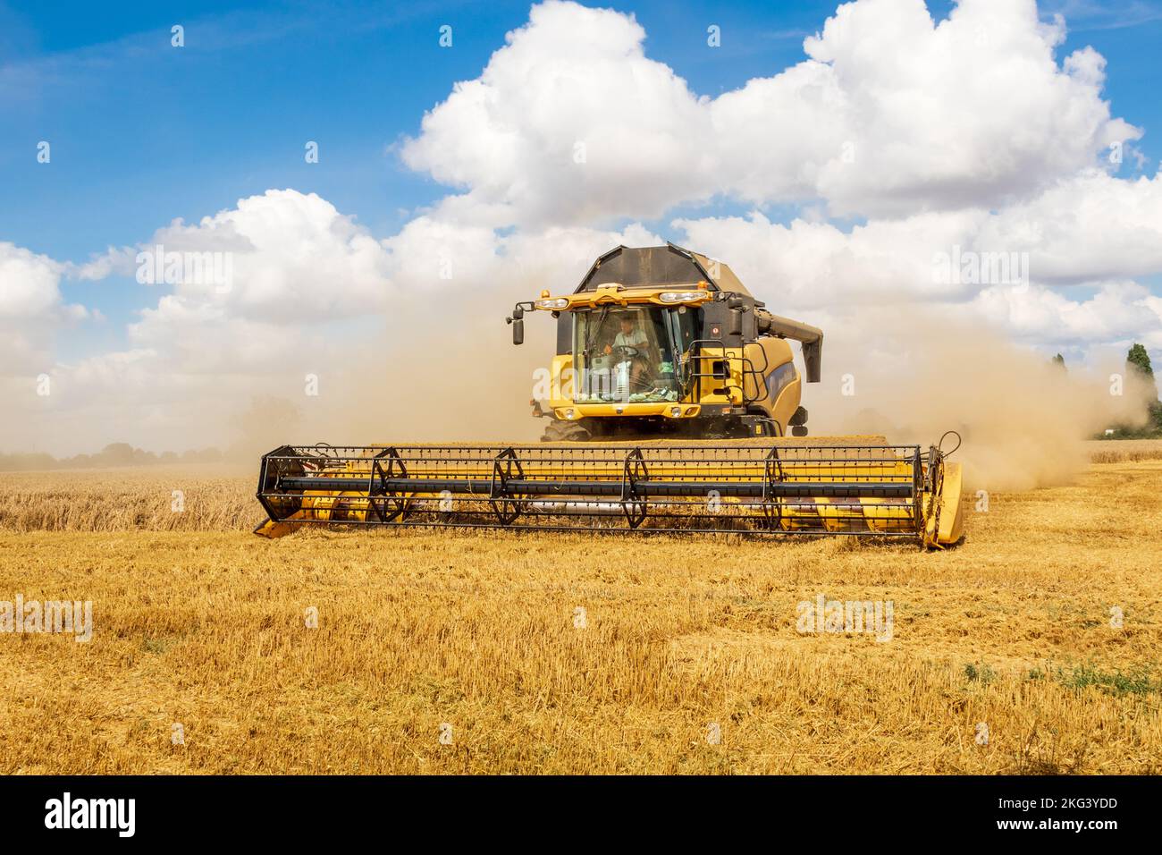 combine harvester at work Stock Photo - Alamy