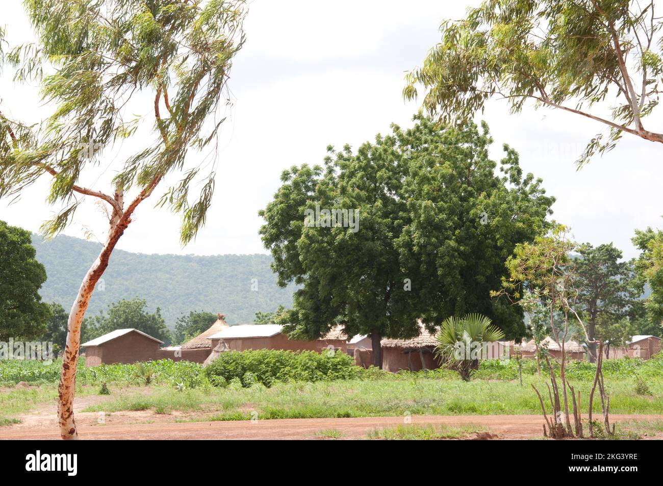 Homestead in rural Atacora, Benin - tata somba Tata somba were ...