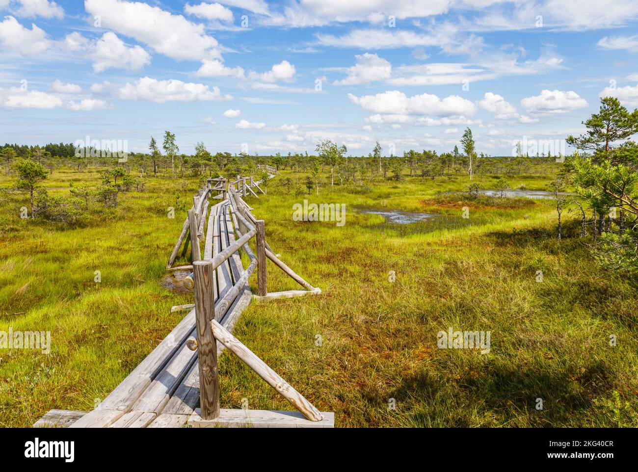 Wooden pathway in swamp hi-res stock photography and images - Alamy