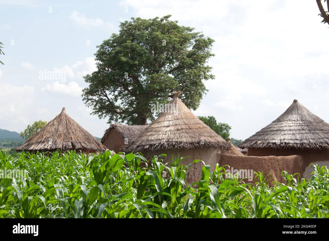 Tata Somba housing, Atacora Province, Benin. Tata somba are typical ...