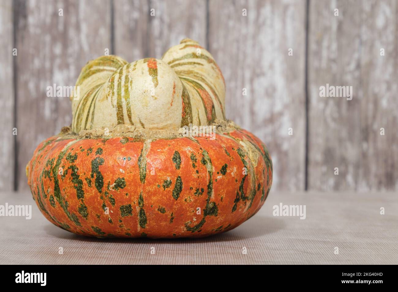 Orange Squash Fruit - used as a Vegetable. A Member of the ...