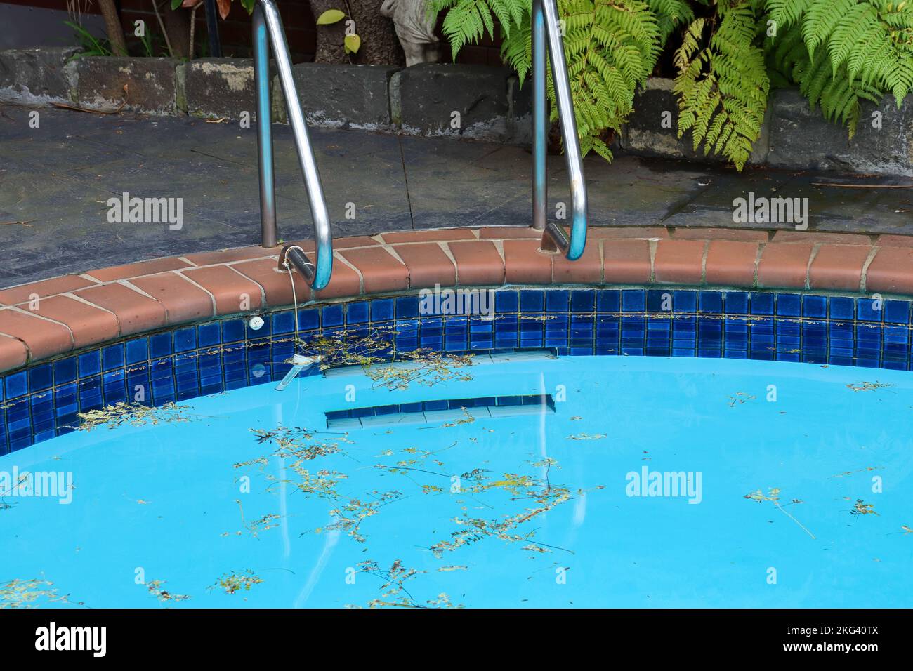 A high-angle shot of a swimming pool with floating leaves, in autumn ...
