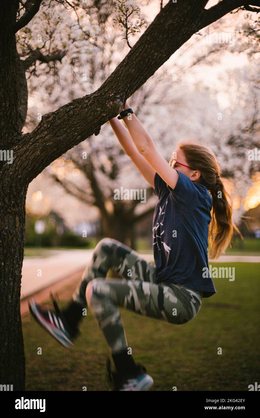 Swing on branch hi-res stock photography and images - Alamy
