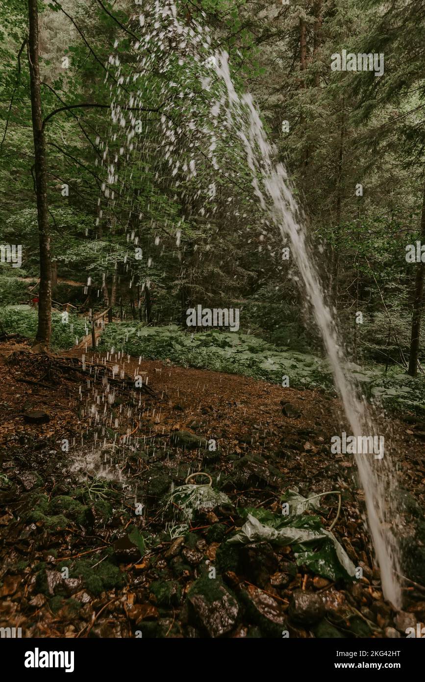 Metodje Geyser Fountain in Kopaonik Forest Stock Photo - Alamy