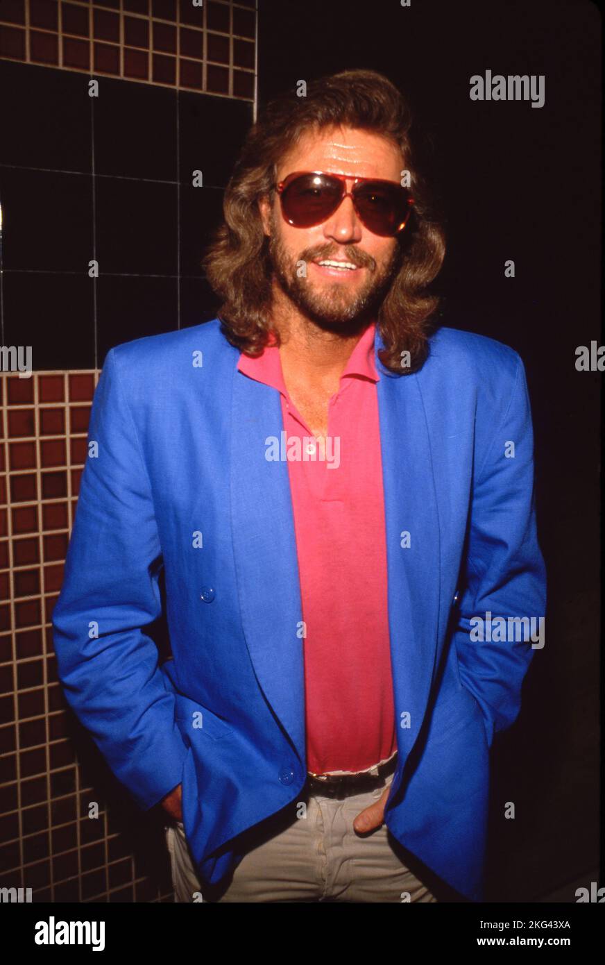 Barry Gibb Circa 1980's . Credit: Ralph Dominguez/MediaPunch Stock ...