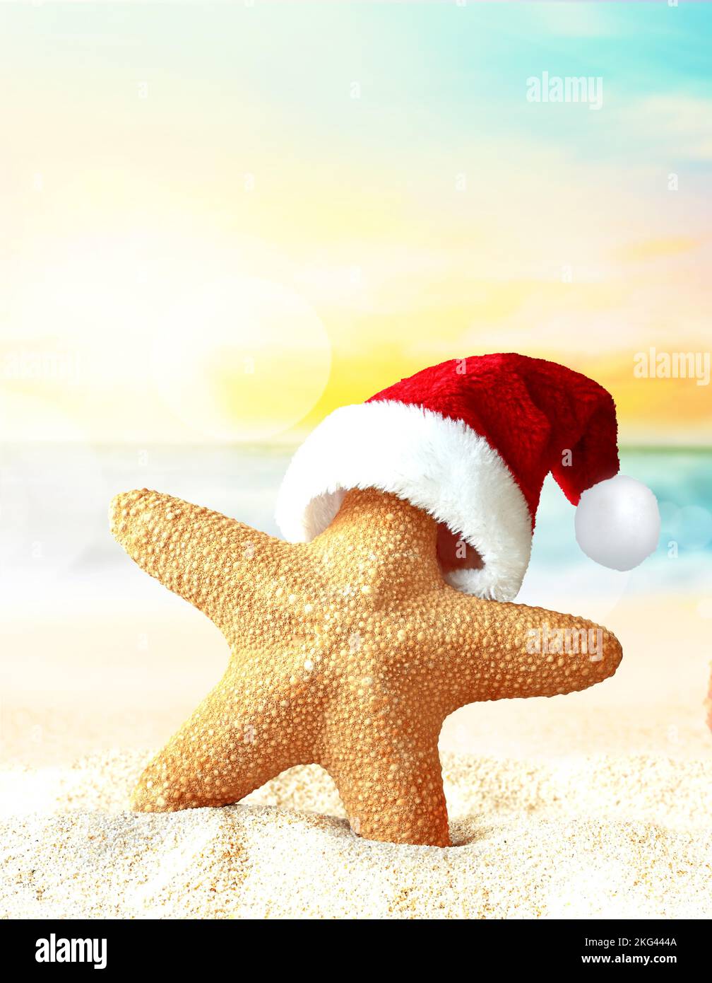 Starfish in Santa Claus hat on a summer beach. Merry Christmas. Holiday ...