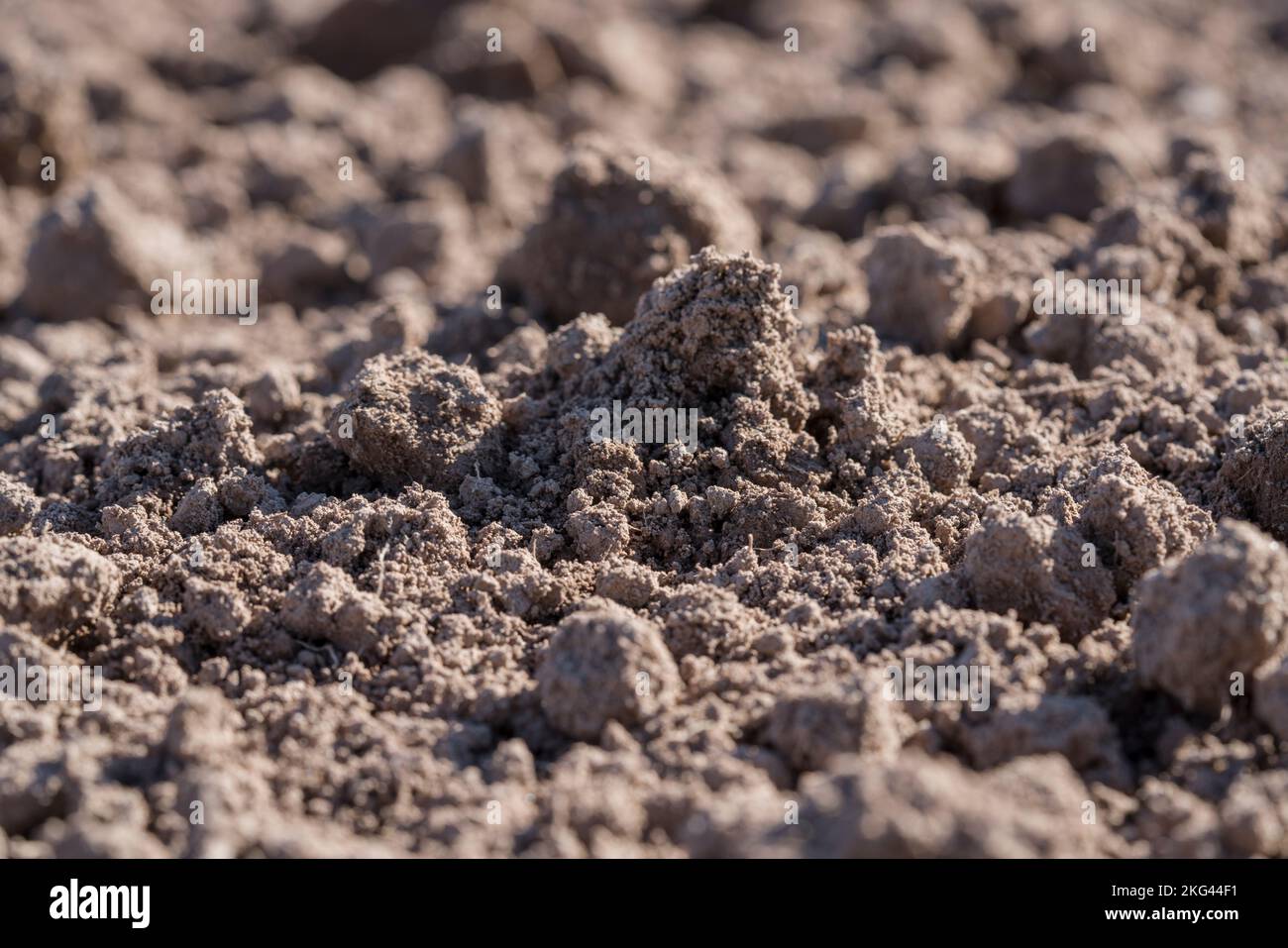 ploughed field in autumn Stock Photo - Alamy