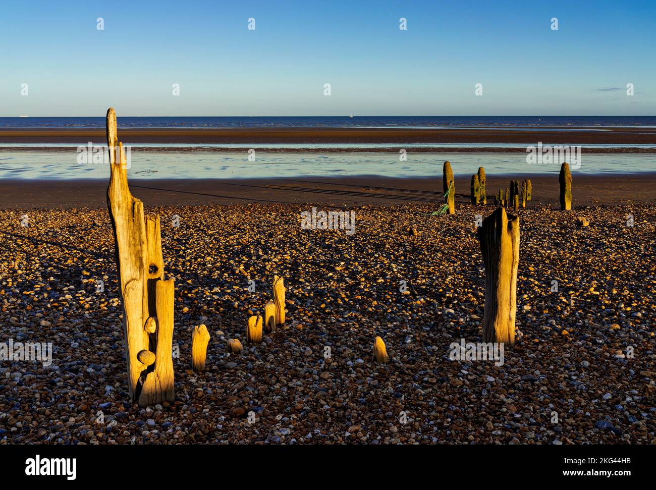 Rye east sussex Groynes - remains of wooden groynes on Rye Beach Rye ...