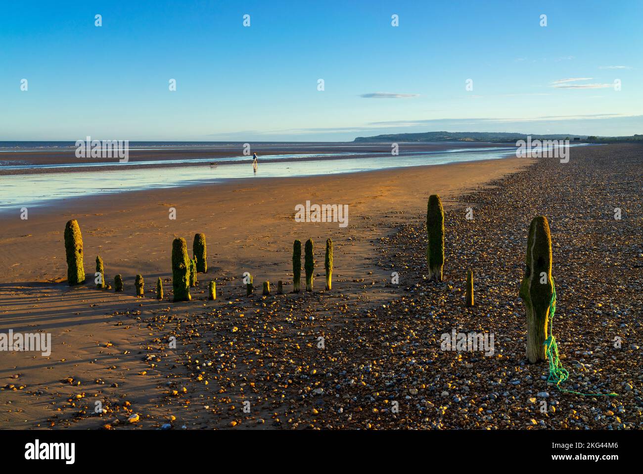 Rye harbour nature reserve shoreline hi-res stock photography and ...
