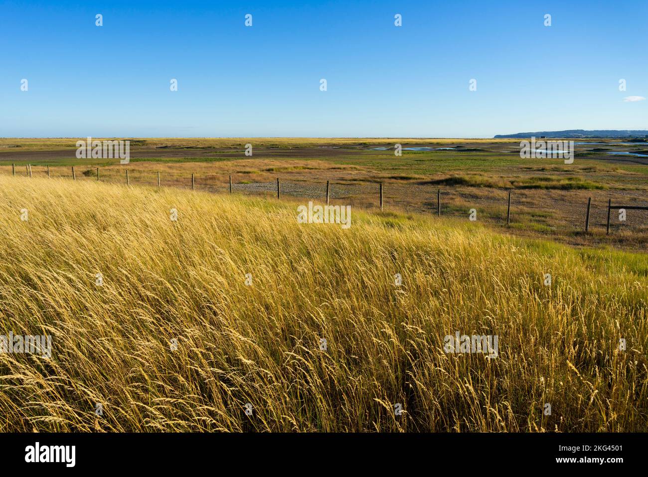 Rye Harbour Nature Reserve wetlands and saltmarsh landscape Rye Harbour ...