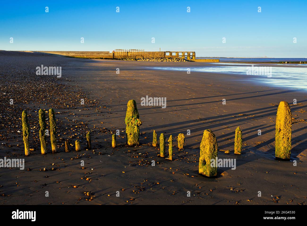 Rye east sussex Groynes - remains of wooden groynes on Rye Beach Rye ...