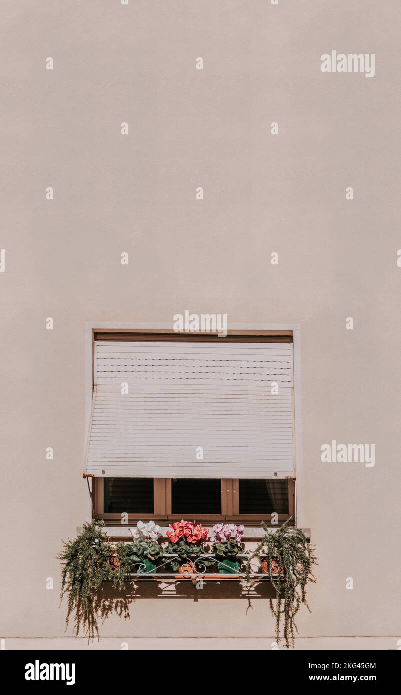A vertical front view of a window with blinds and beautiful flowers ...