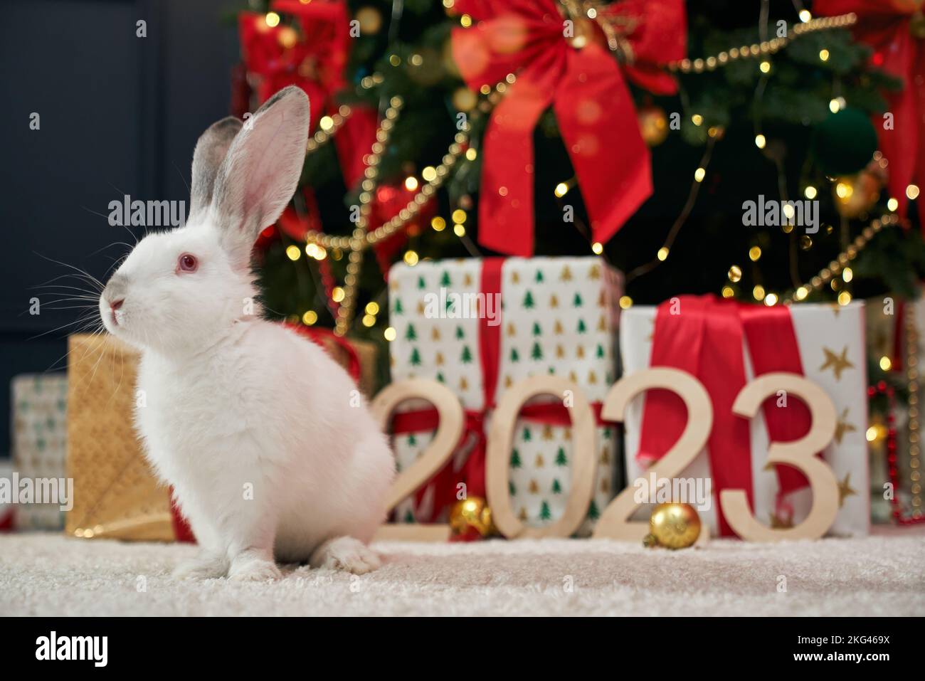 Side view of white rabbit sitting near decorated christmas tree. Animal ...