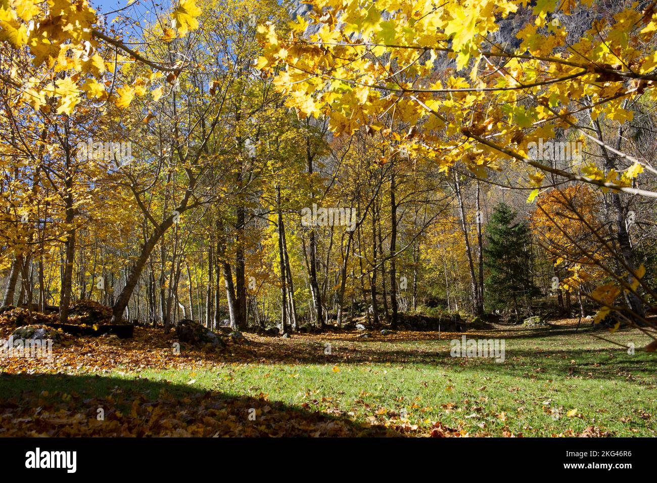 Europe, Italy, Lombardy, Valtellina, Val di Mello, S. Martino, foliage ...