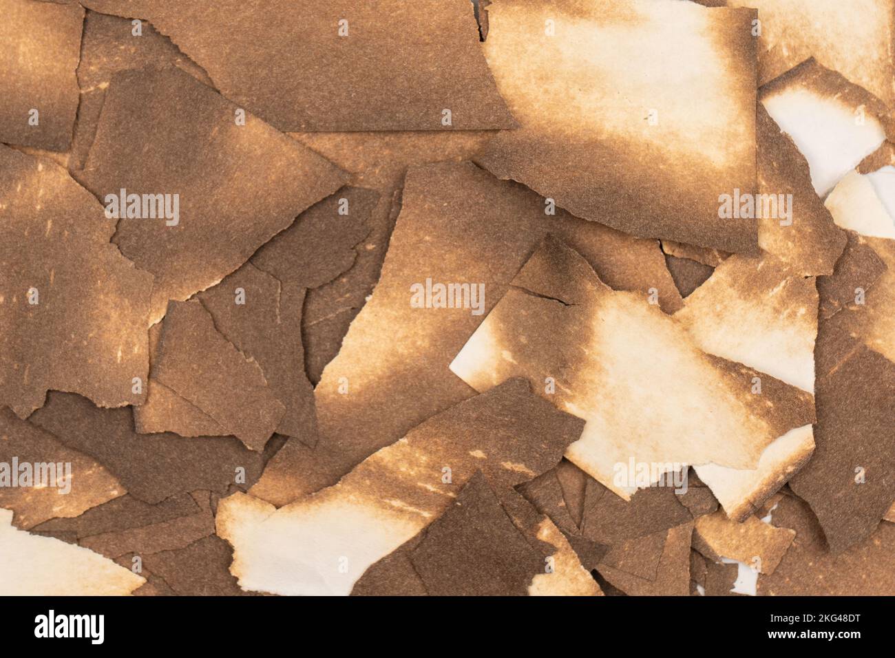 Burnt paper isolated on a white background. Copy space Stock Photo - Alamy