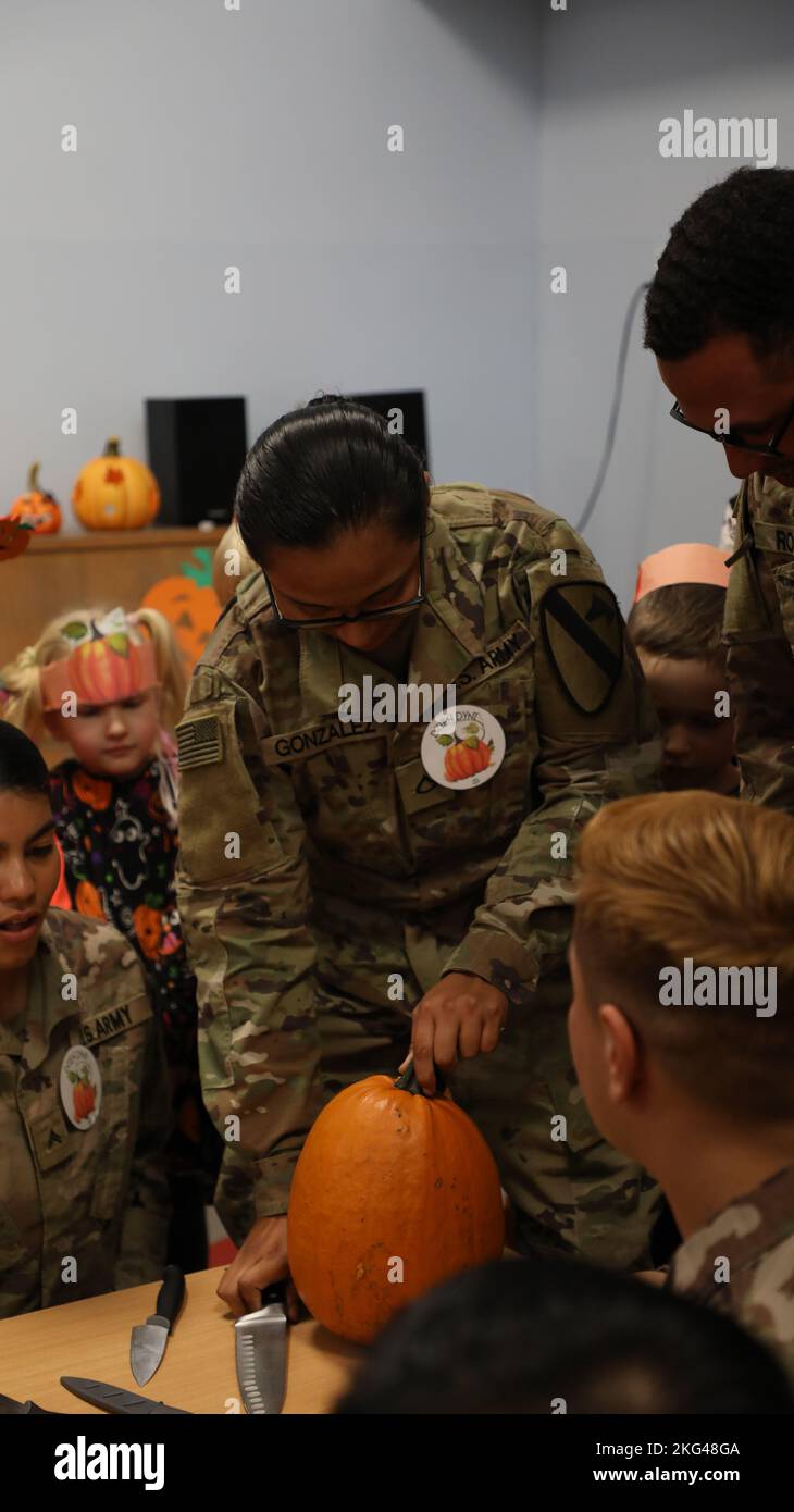 215th brigade support battalion hi-res stock photography and images - Alamy