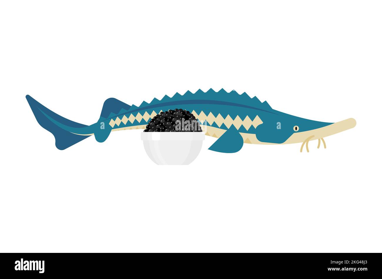 Sturgeon and black caviar isolated. Fish delicacy Stock Vector Image ...