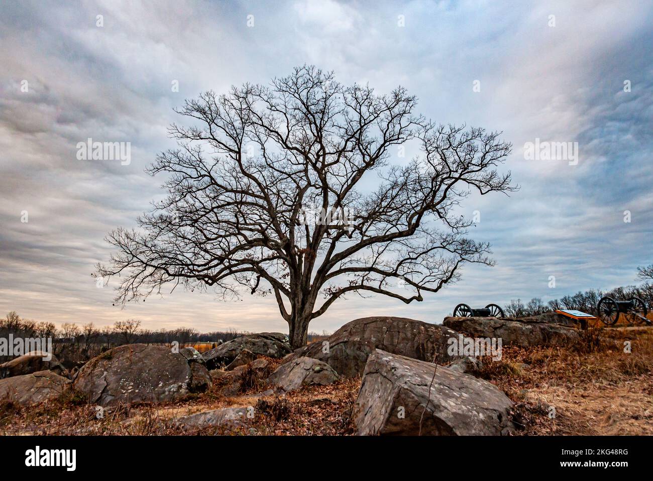 Witness Tree at the Golden Hour, Gettysburg National Military Park ...