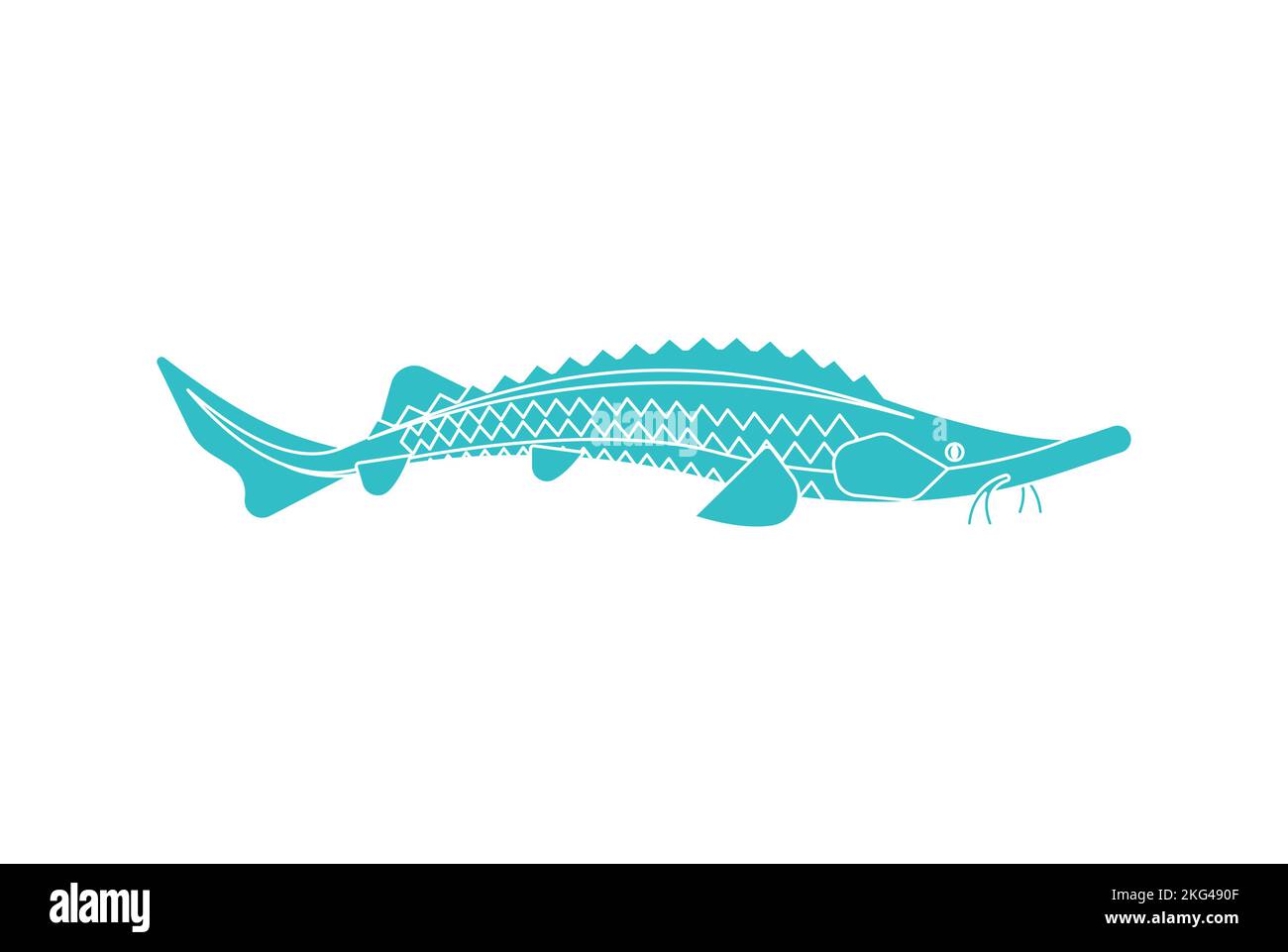 Sturgeon isolated icon. Fish sign. Vector illustration Stock Vector ...