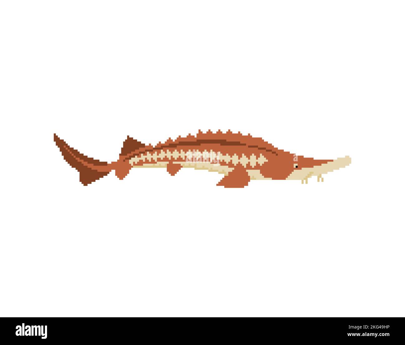 Sturgeon Spears Design