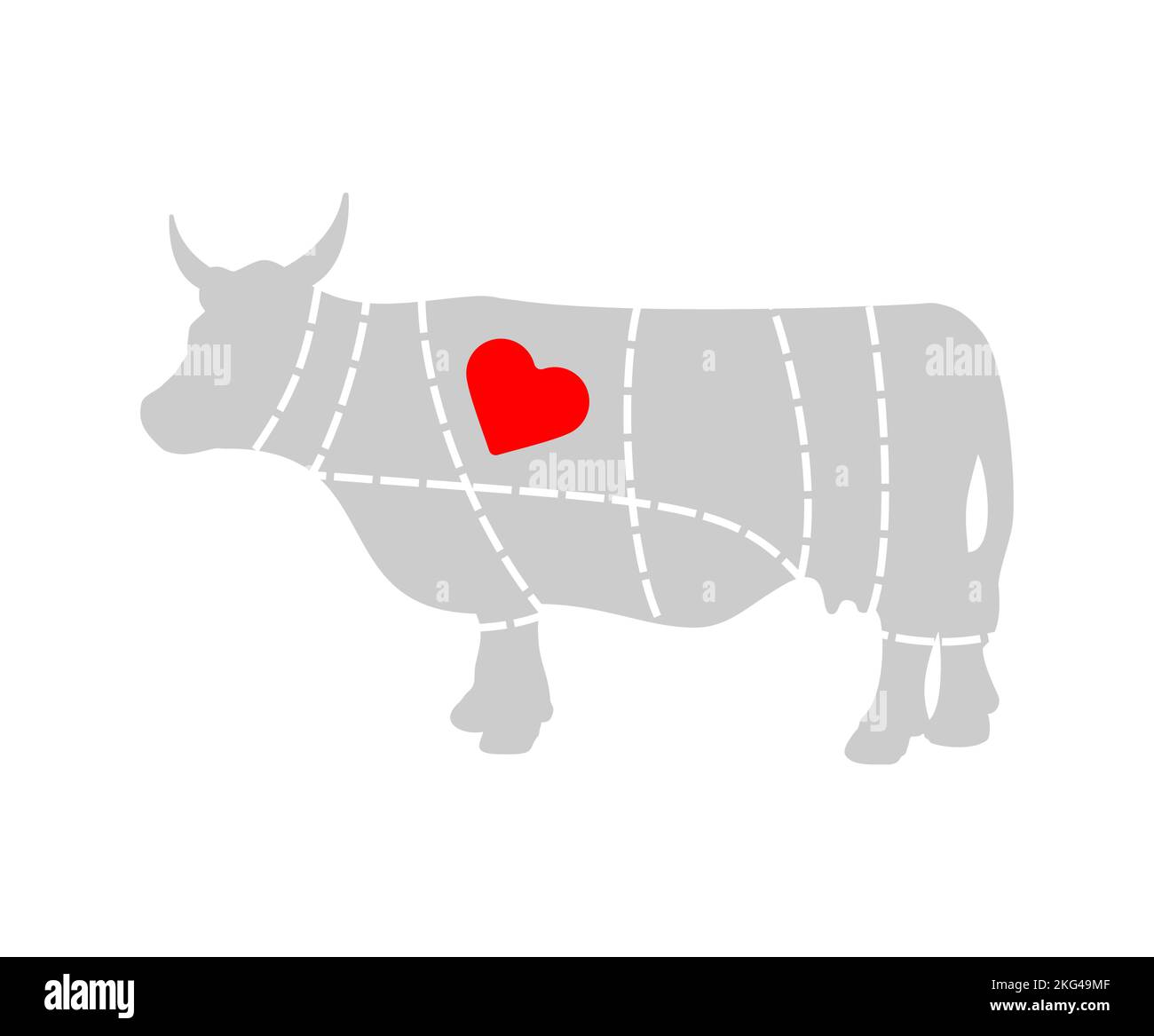 Love Cow cutting meat. Butcher Manual butchering beef carcasses Stock ...