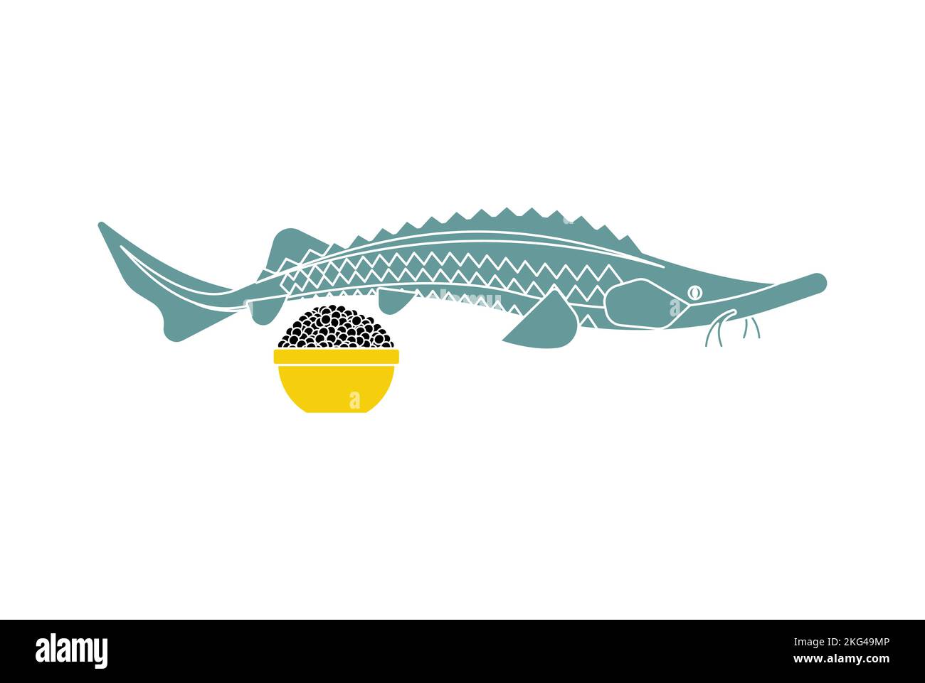 Sturgeon and black caviar isolated. Fish delicacy Stock Vector Image ...